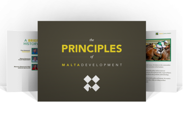 Malta Development Ebook